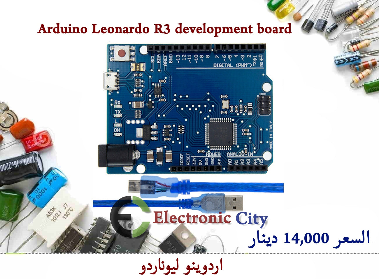 Arduino Leonardo R3 #S12 010311 – Electronic City المدينة الالكترونية